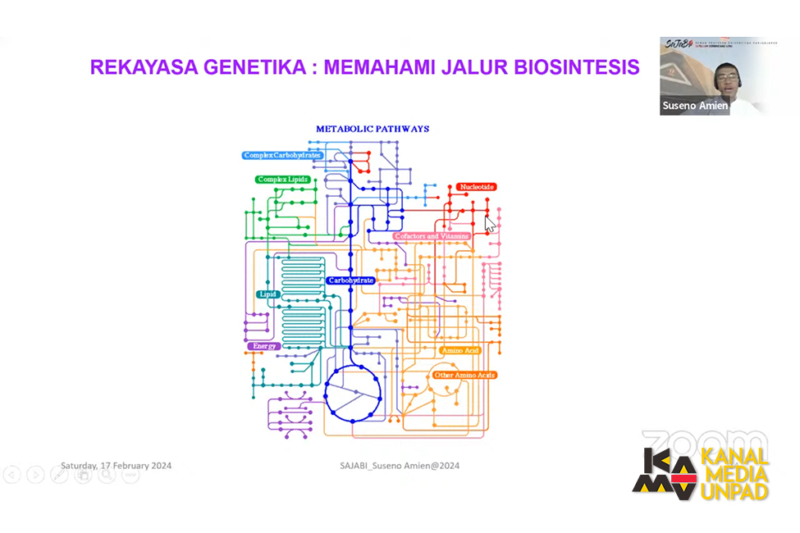 Rekayasa Genetik Tanaman Punya Peran Penting dalam Pemenuhan Kebutuhan ...
